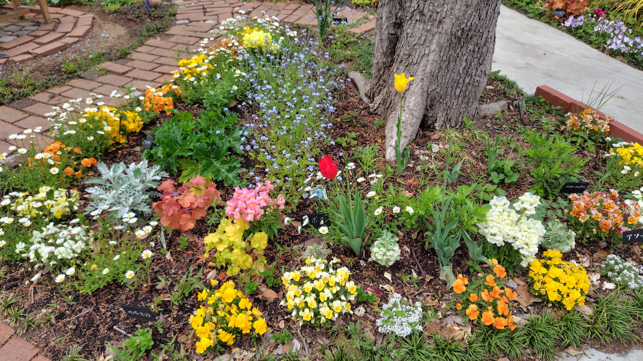 4/20(日) うちたすコミュニティガーデン 4月の定例活動がありました。 - TUKURU