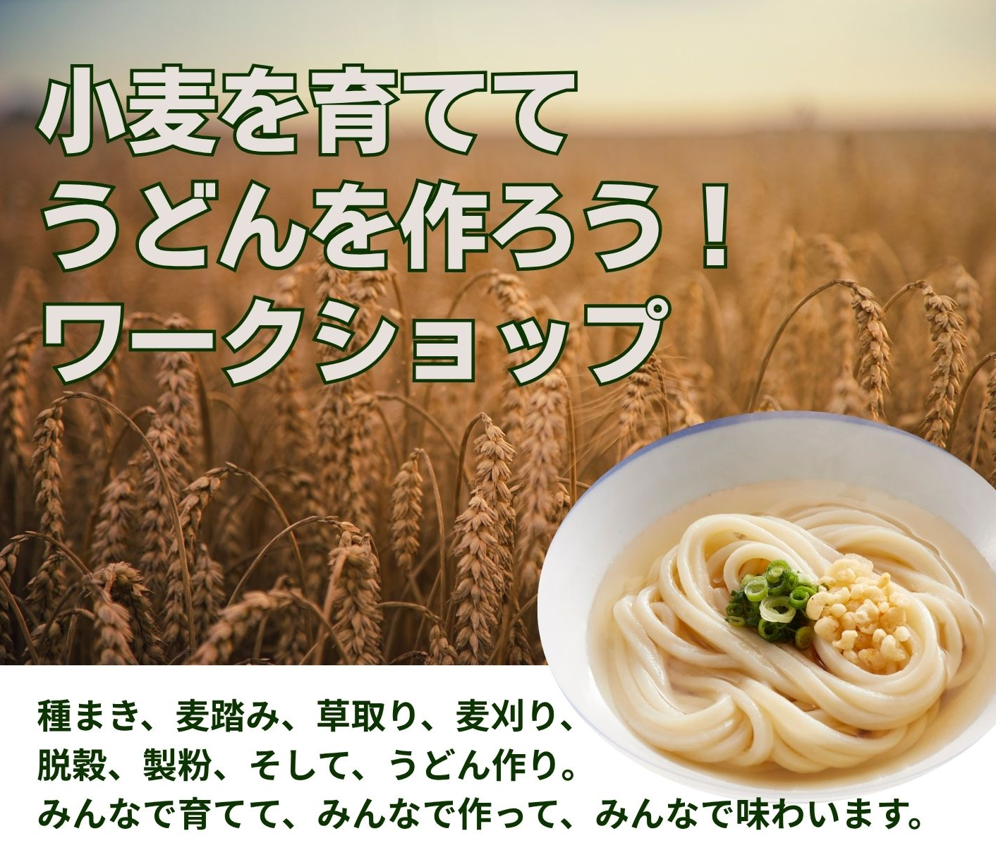 2/1(日)「小麦を育てて、うどんを作ろう！」連続7回ワークショップの2回目を開催しました！ - TUKURU